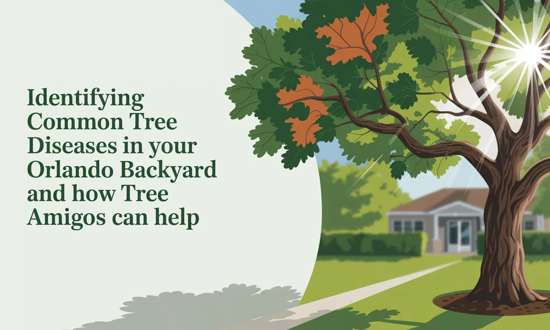 Spotting Sick Trees: Common Orlando Tree Diseases & Expert Help